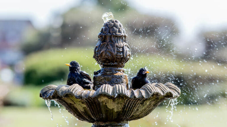 Prairie Oasis Garden Centre – All of your landscaping and garden needs ...